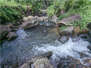 Land for sale in ruwanwella - Ruwanwella, Kegalle - Sri Lanka's only ...